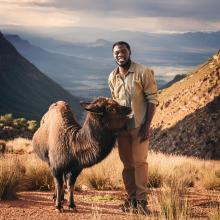 One Health Connecting Humans Animals And The Environment